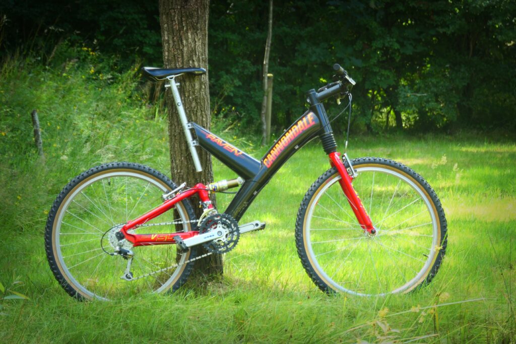 Cannondale Raven mountainbike - Vette Vintage Fietsen